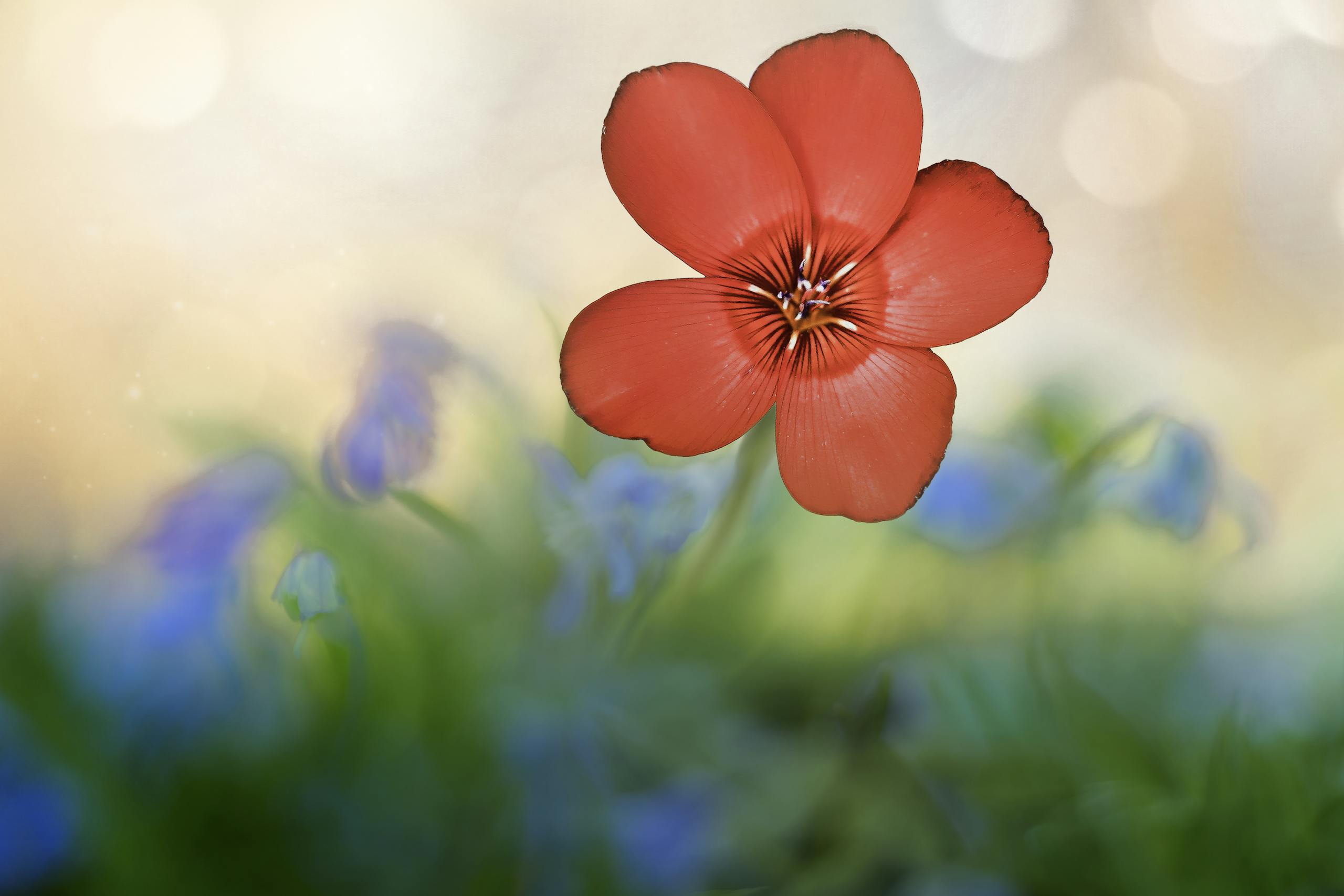 Solved The Code Execution Cannot Proceed Because Vcruntime1401dll Was Not Found